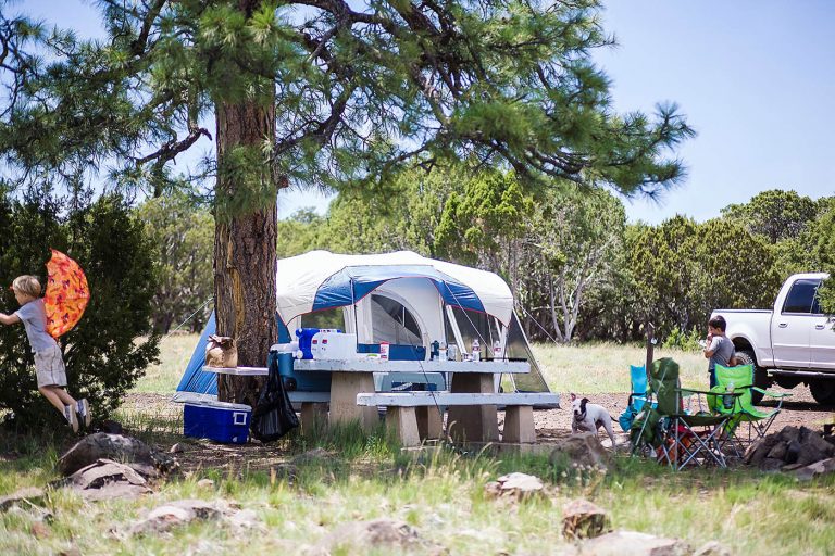 The Very Basics You Need for Camping – All for the Adventure